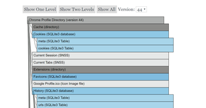 Capturing Chrome's Evolution